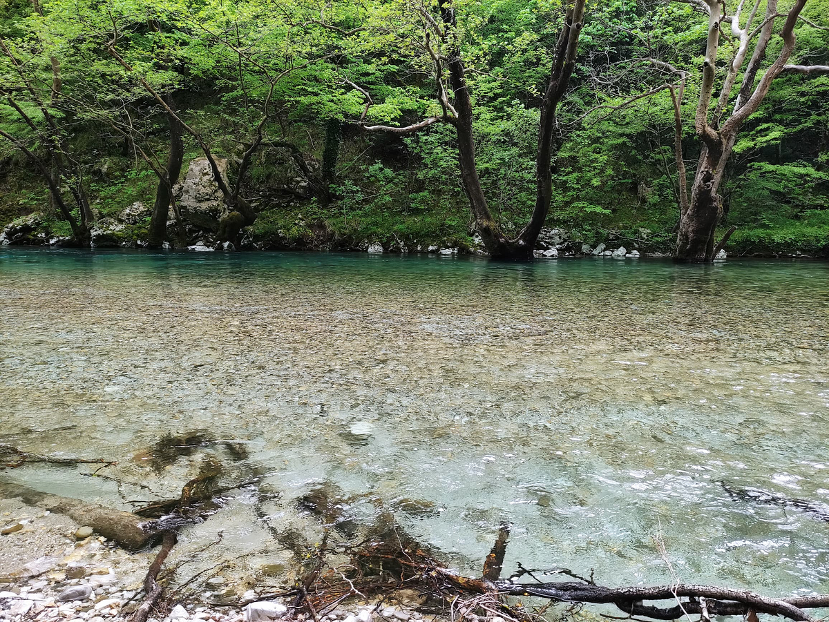 Introducing Nx Ecosystem CI | Nx Blog